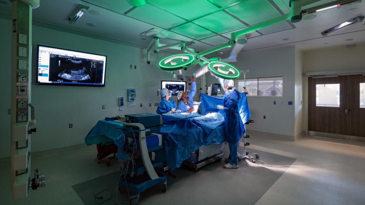 Operational Readiness & Transition Planning for Healthcare… | Hammes